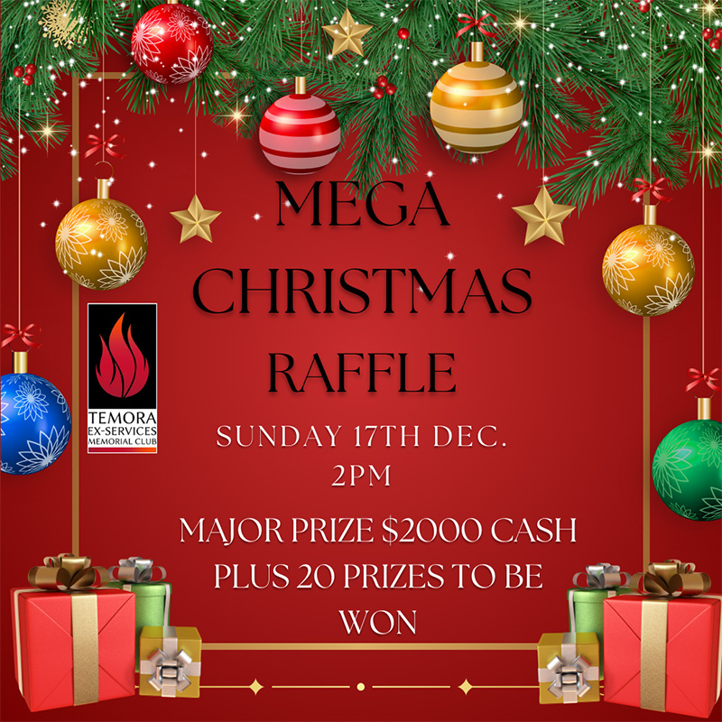 Mega Christmas Raffle - Entertainment